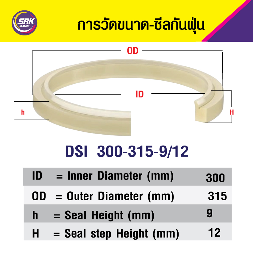 DSI 300-315-9/12 ซีลรูดฝุ่น ซีลกันฝุ่นNOK , ซีลกันฝุ่นไฮดลอลิค (1ชิ้น) - จำหน่ายและผลิต โอริง ...